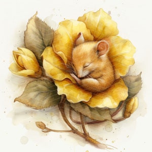 Watercolor Mouse Sleeping in Flower Clipart: Baby Nursery Art (JPG ...