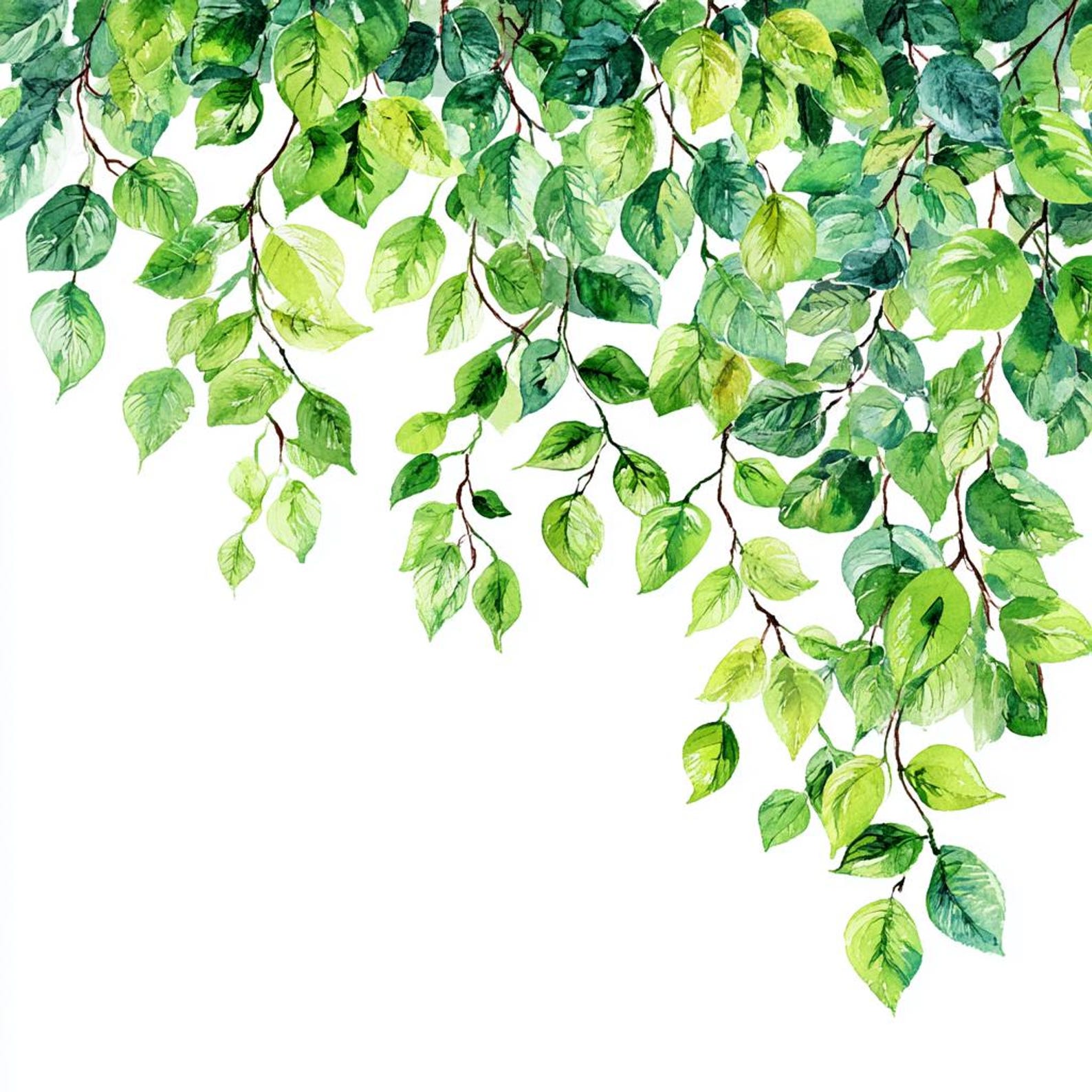 Watercolor Green Leaves Clipart: Botanical PNG Branches (digital ...