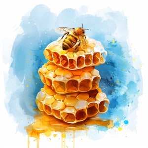 12 PNG Beehive Clipart, Bees Honeycomb Clipart, Bees Honey Clipart ...