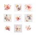 Abstract Watercolor Flower Clipart Bundle (digital Download) - Etsy