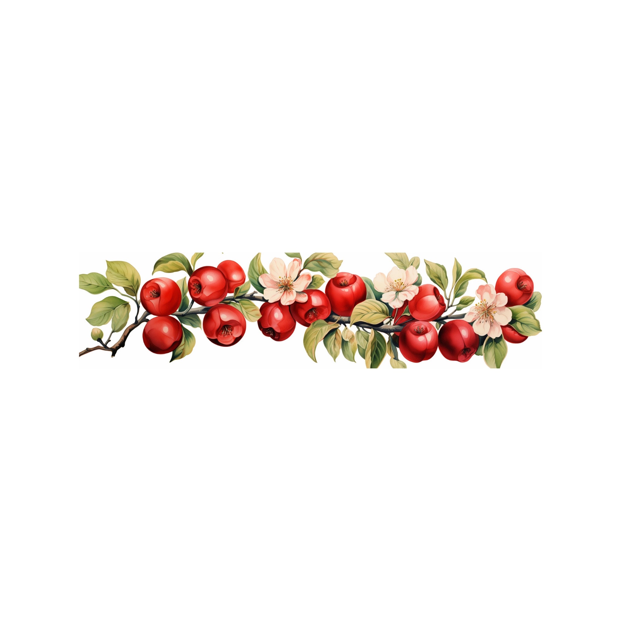 10 Apple Branch Border Clipart, Jpg Png, Watercolor Apple Flowers, Apple Branch Border, Apple ...