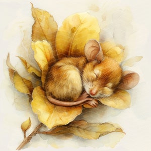 Watercolor Mouse Sleeping in Flower Clipart: Baby Nursery Art (JPG ...