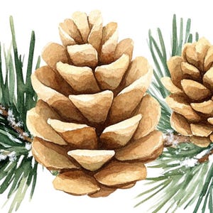 12 WINTER PINE CONES Digital Image, Christmas Pine Tree Branch, Winter ...