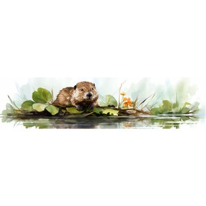 Beaver Border Clipart: Watercolor PNG, Commercial Use (digital Download ...