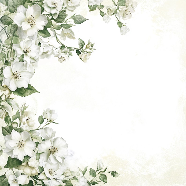 White Flower Frame Clipart: Elegant Floral Border (digital Download ...