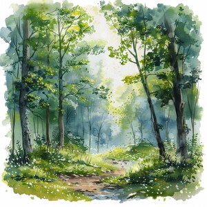 12 Green Forest Path Clipart, JPG, Watercolor Forest Path, Printable ...