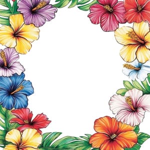 Watercolor Hibiscus Flower Frames Clipart: Hawaii PNG (digital Download ...