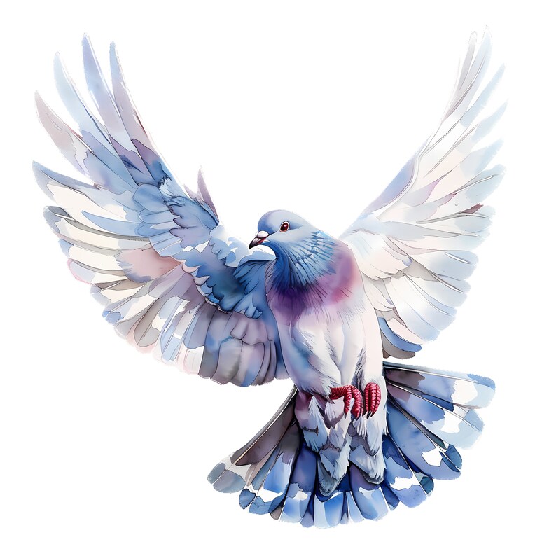 Watercolor Dove Clipart: 14 PNG Images (digital Download) - Etsy