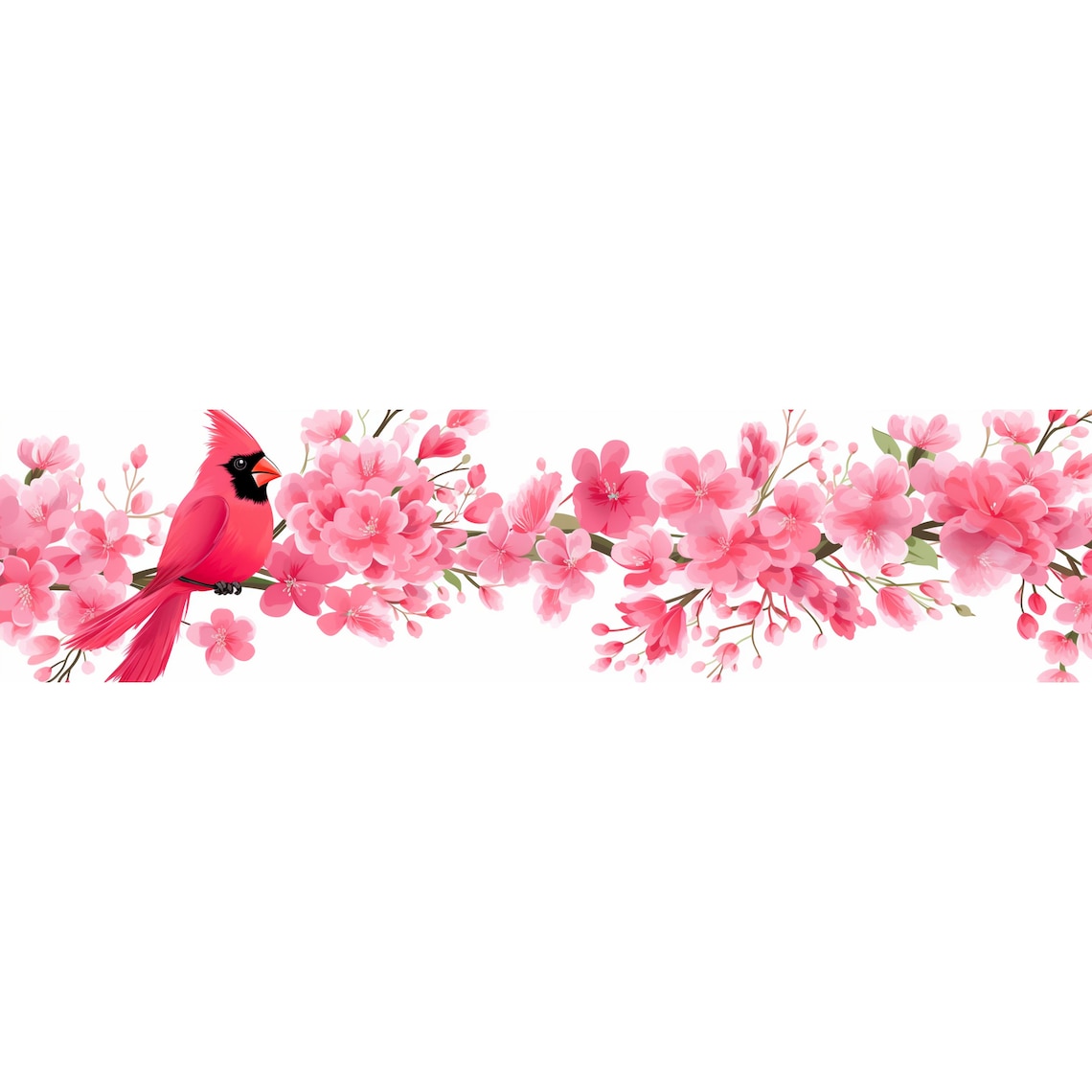Cardinal Bird Clipart Border: High-resolution PNG (digital Download ...
