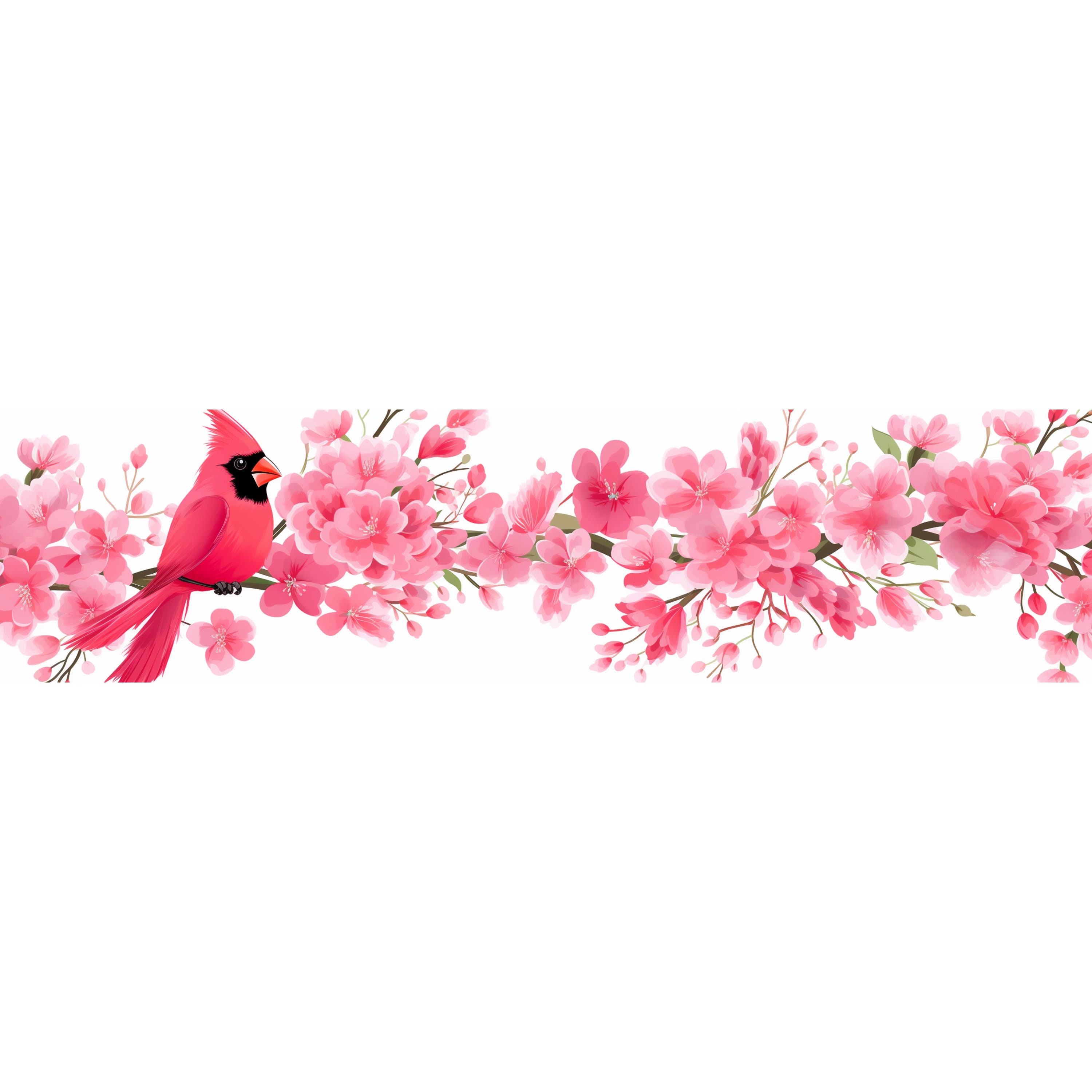 Cardinal Bird Clipart Border: High-resolution PNG (digital Download ...