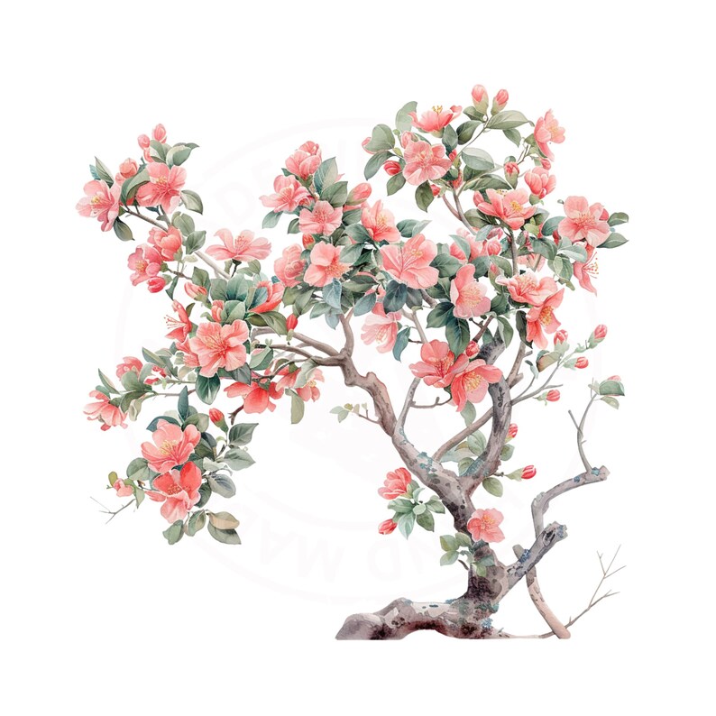 12 PNG Magic Blossom Trees Clipart. Transparent Background Png Magic ...