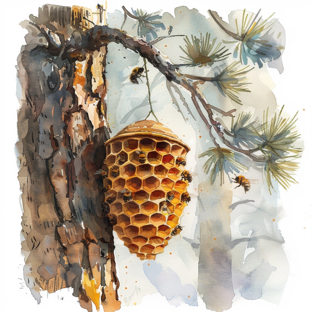 Beehive Clipart: Honey Bee PNG Designs (digital Download), Spring ...