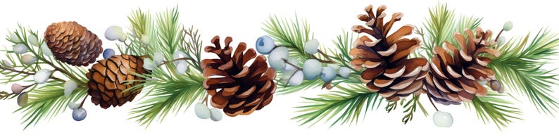Winter Pine Cones Digital Image: Christmas Tree Branch Clipart (PNG) - Etsy