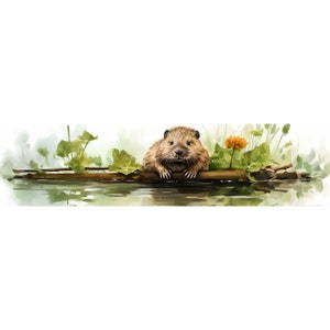 10 PNG Beaver Clipart Border, Beaver Illustration, High-resolution PNG ...