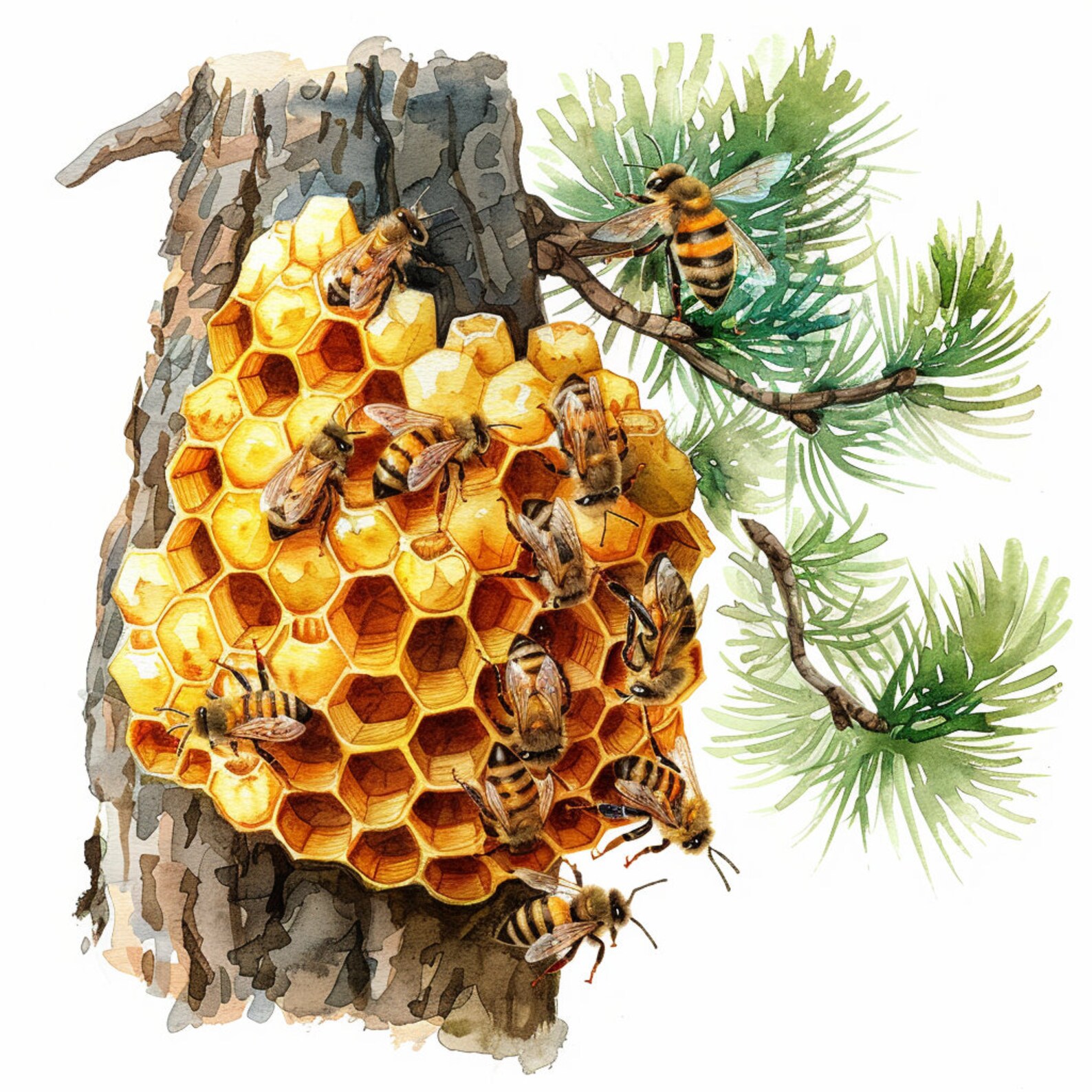 Beehive Clipart, Bee Honey Designs, 10 PNG Beehive, Bees Transparent ...