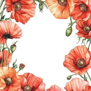 14 Watercolor Red Poppy Frames Clipart, High-quality PNG, Digital ...