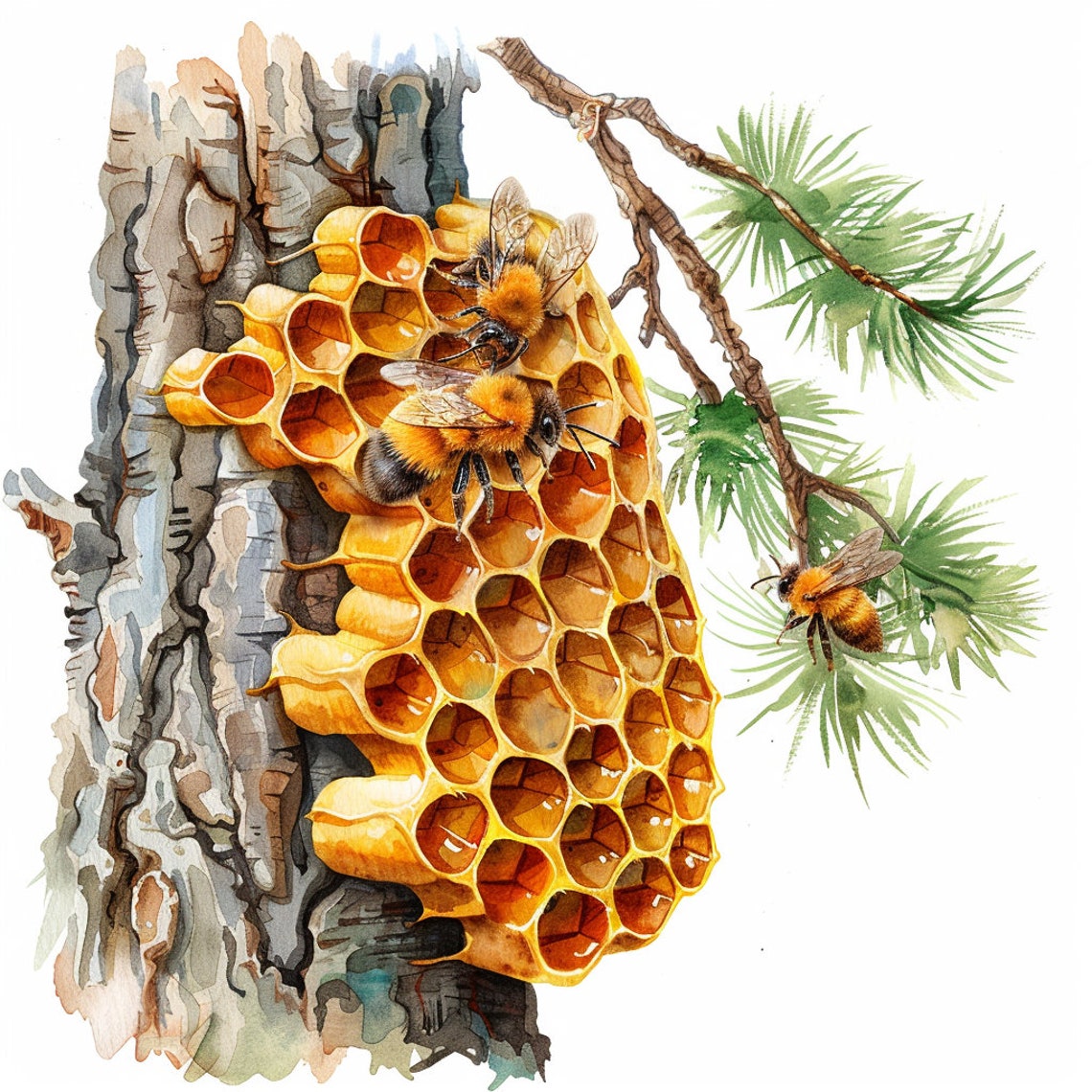 Beehive Clipart, Bee Honey Designs, 10 PNG Beehive, Bees Transparent ...