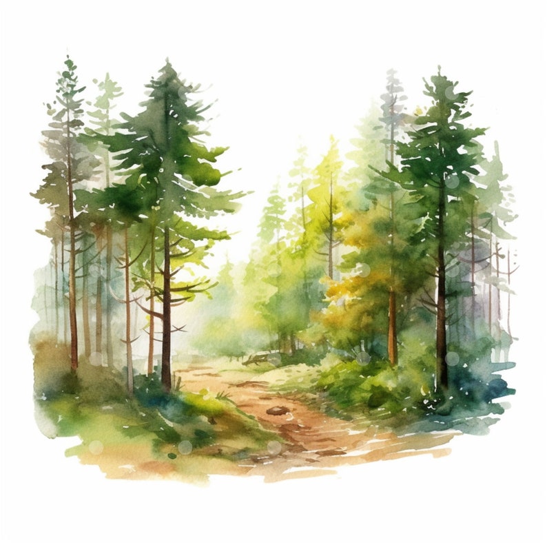 12 Forest Path Clipart, JPG, Camping, Watercolor Forest Path, Printable ...
