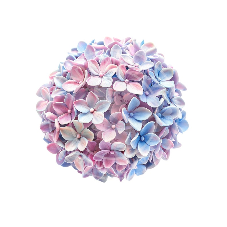 14 PNG Hydrangea Clipart, Hydrangea Print Transparent BG Printable ...