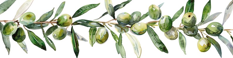 PNG Olive Branch Border Clipart Transparent Background, Olive Blanch ...