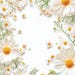 Daisy Frame Clipart: Watercolor Floral Borders (JPG Digital Art ...