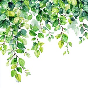 Watercolor Green Leaves Clipart: Botanical PNG Branches (digital ...