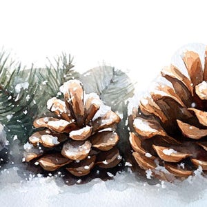 Winter Pine Cones Digital Image: Christmas Tree Branch Clipart (PNG ...