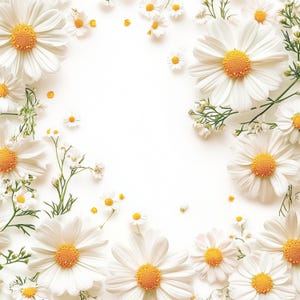 Daisy Frame Clipart: Watercolor Floral Borders (JPG Digital Art) - Etsy