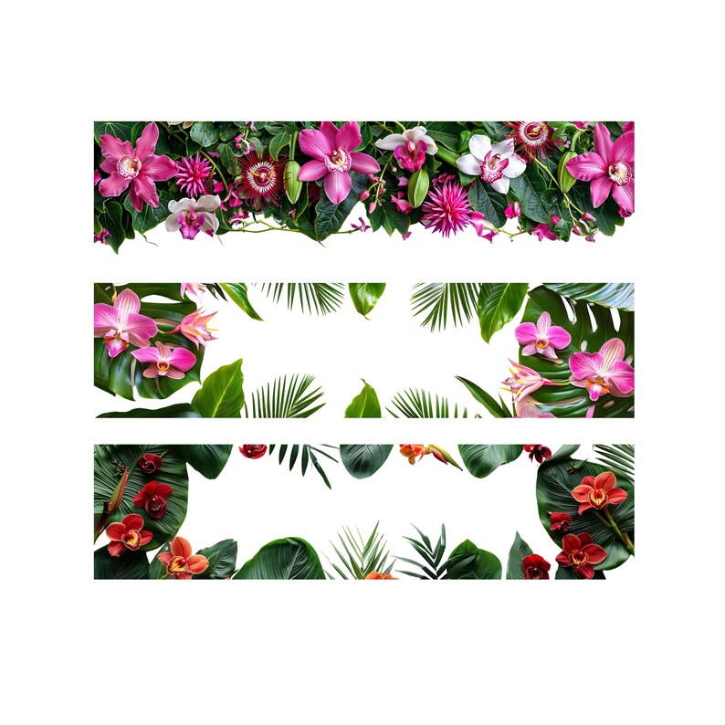 19 PNG Orchid Exotic Flower Border Clipart , Orchid Clipart, High ...