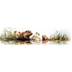 Beaver Border Clipart: Watercolor PNG, Commercial Use (digital Download ...
