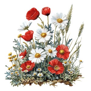 Watercolor Daisy & Poppy Clipart: Wildflower PNG Graphics (digital ...
