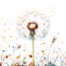 Watercolor Dandelions Clipart: Transparent PNG Flowers (digital ...