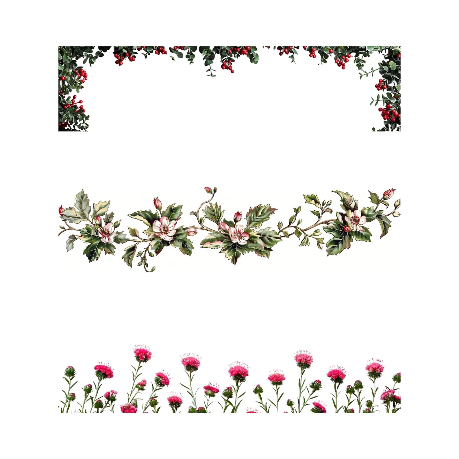 Thistle and Wildflower Border Clipart: Watercolor PNG (digital Download ...