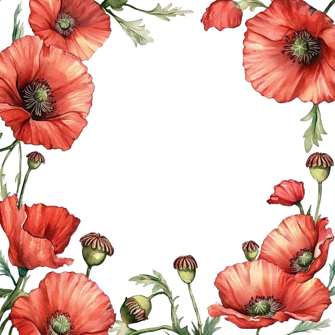12 Poppy Watercolor Frames Clipart, High-quality PNG, Digital Download ...
