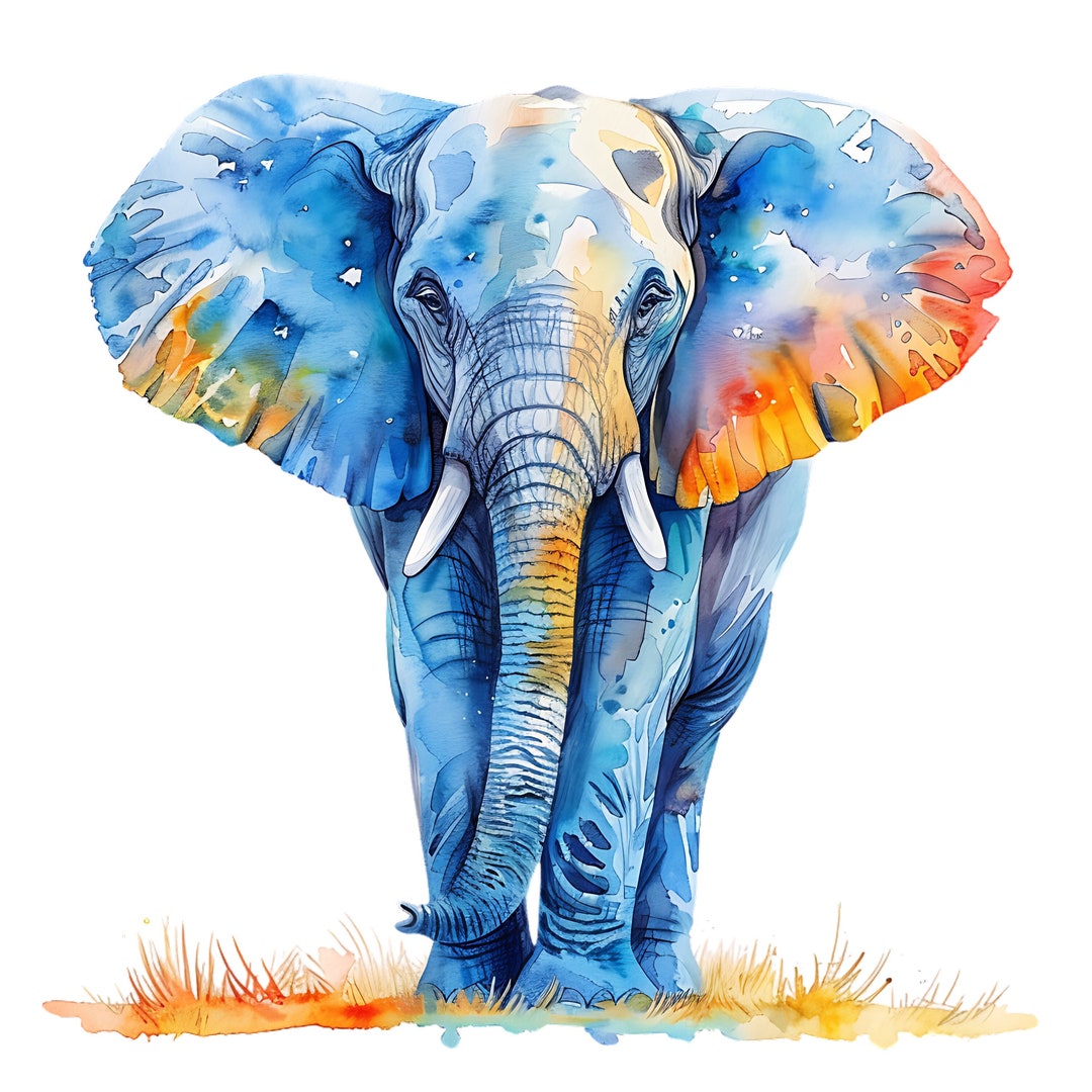 Watercolor Elephant Clipart: 21 PNG Images, Transparent Background ...