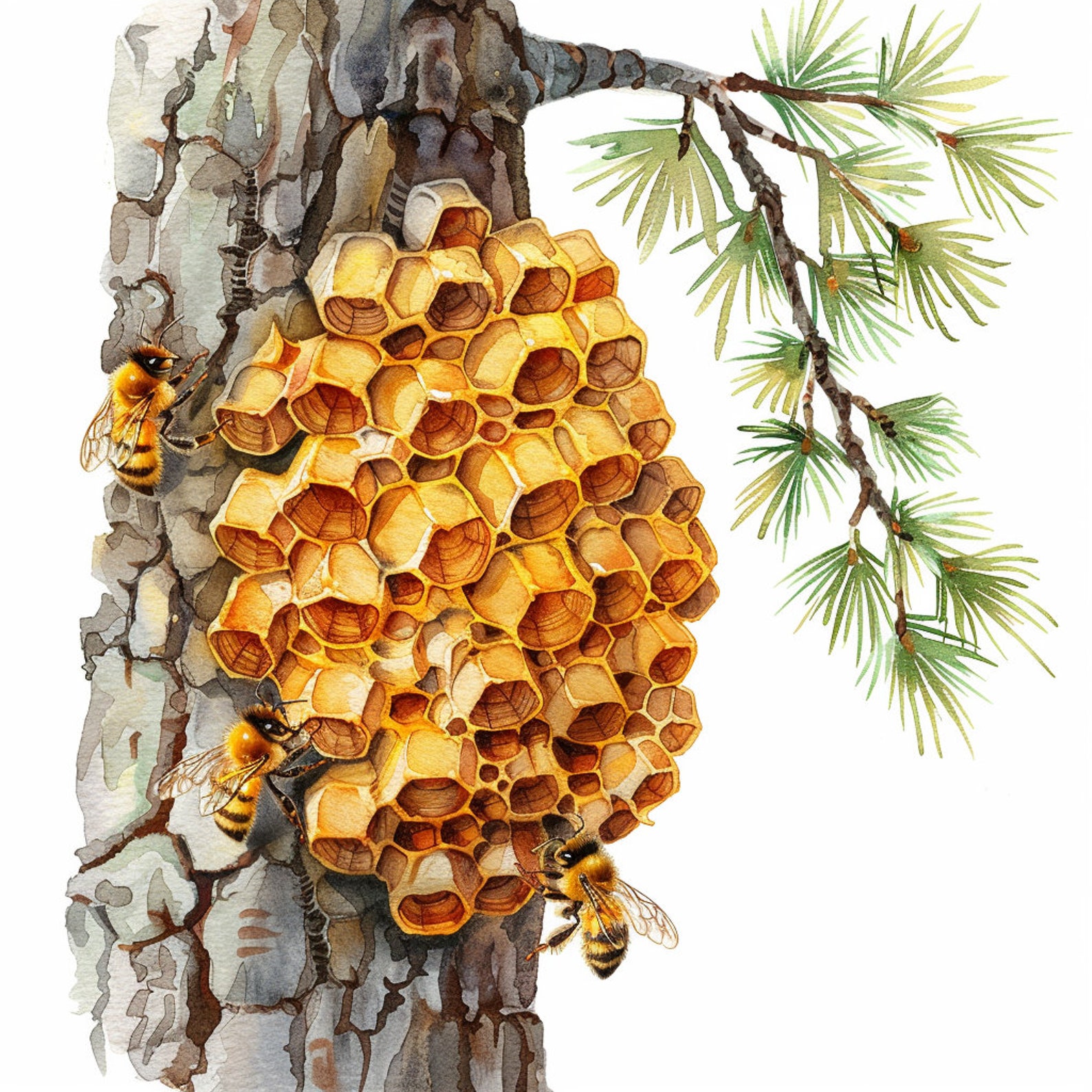 Beehive Clipart, Bee Honey Designs, 10 PNG Beehive, Bees Transparent ...