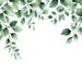 8 Watercolor Green Leaves Frame Clipart: Botanical Decor (PNG Digital ...