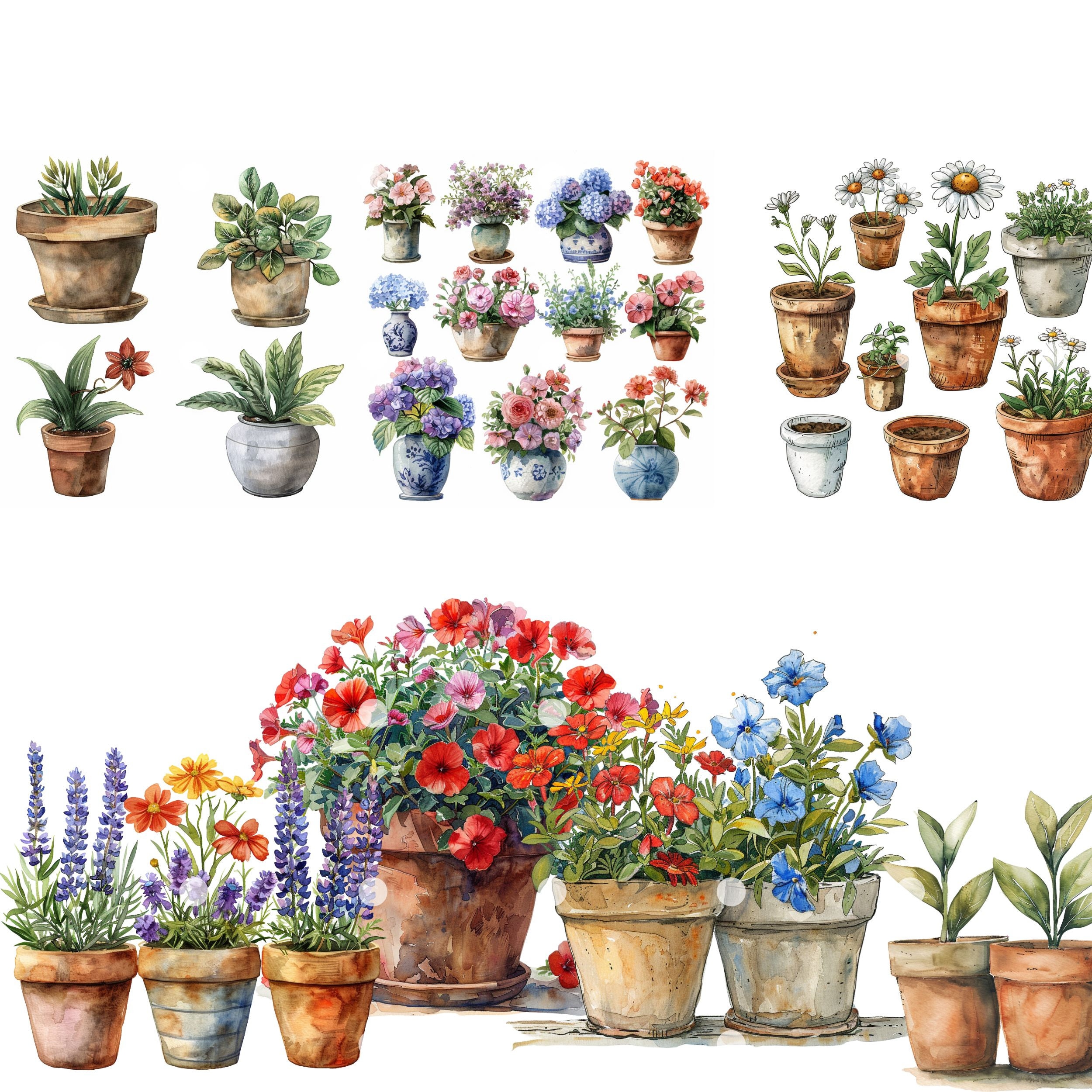 Watercolor Flowers in Pot Clipart: PNG Digital Images - Etsy
