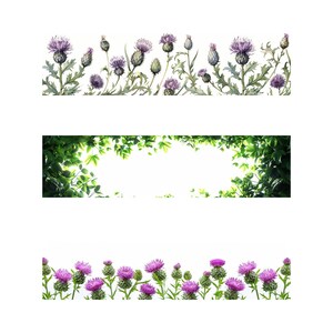 Thistle and Wildflower Border Clipart: Watercolor PNG (digital Download) - Etsy