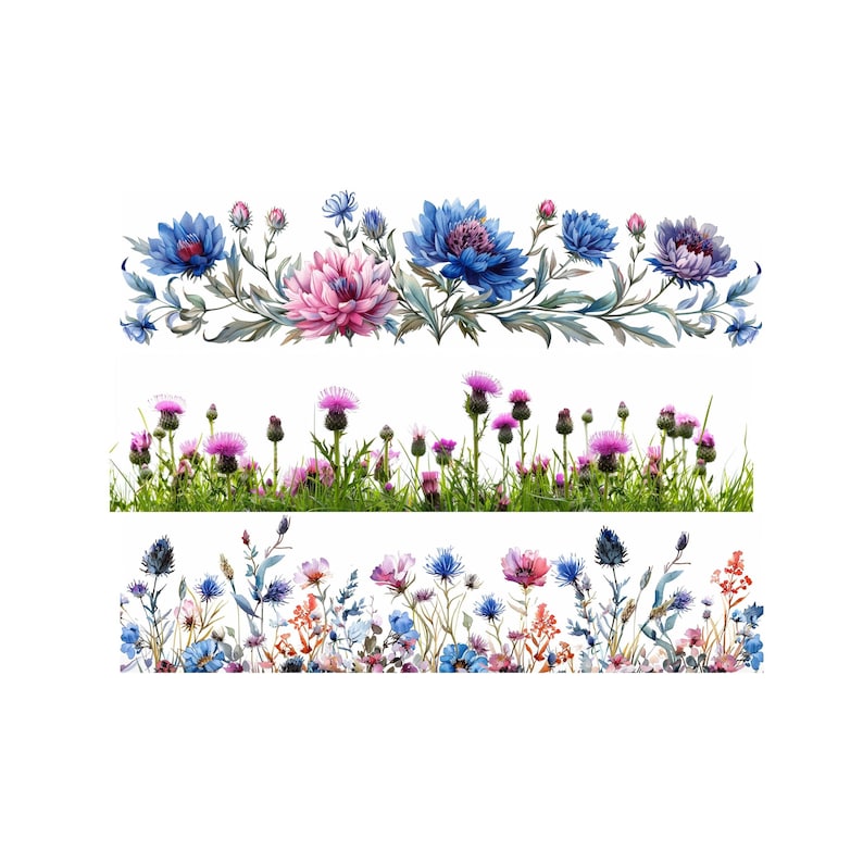 Thistle and Wildflower Border Clipart: Watercolor PNG (digital Download ...