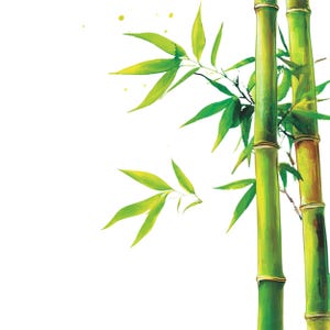 Watercolor Bamboo Border Clipart: Botanical Frame (PNG Digital Download ...