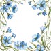 Blue Wildflower Frame Clipart: Watercolor PNG (digital Download) - Etsy