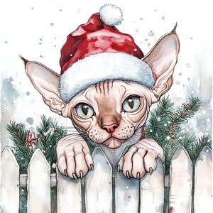 12 CHRISTMAS SPHYNX CAT Digital Image, Cute Sphynx Cat Illustartion ...