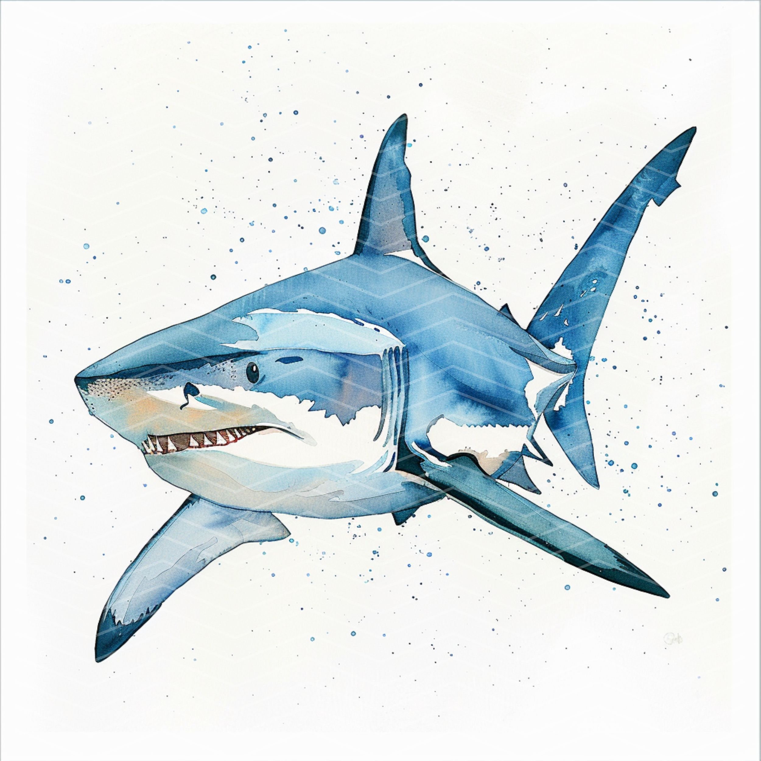 Watercolor Shark Clipart: Sea Fish Illustrations (JPG Digital Download ...