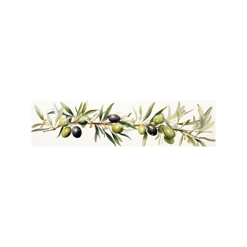 12 Olive Branch Border Clipart, Jpg, Olive Blanch Watercolor Clip Art ...