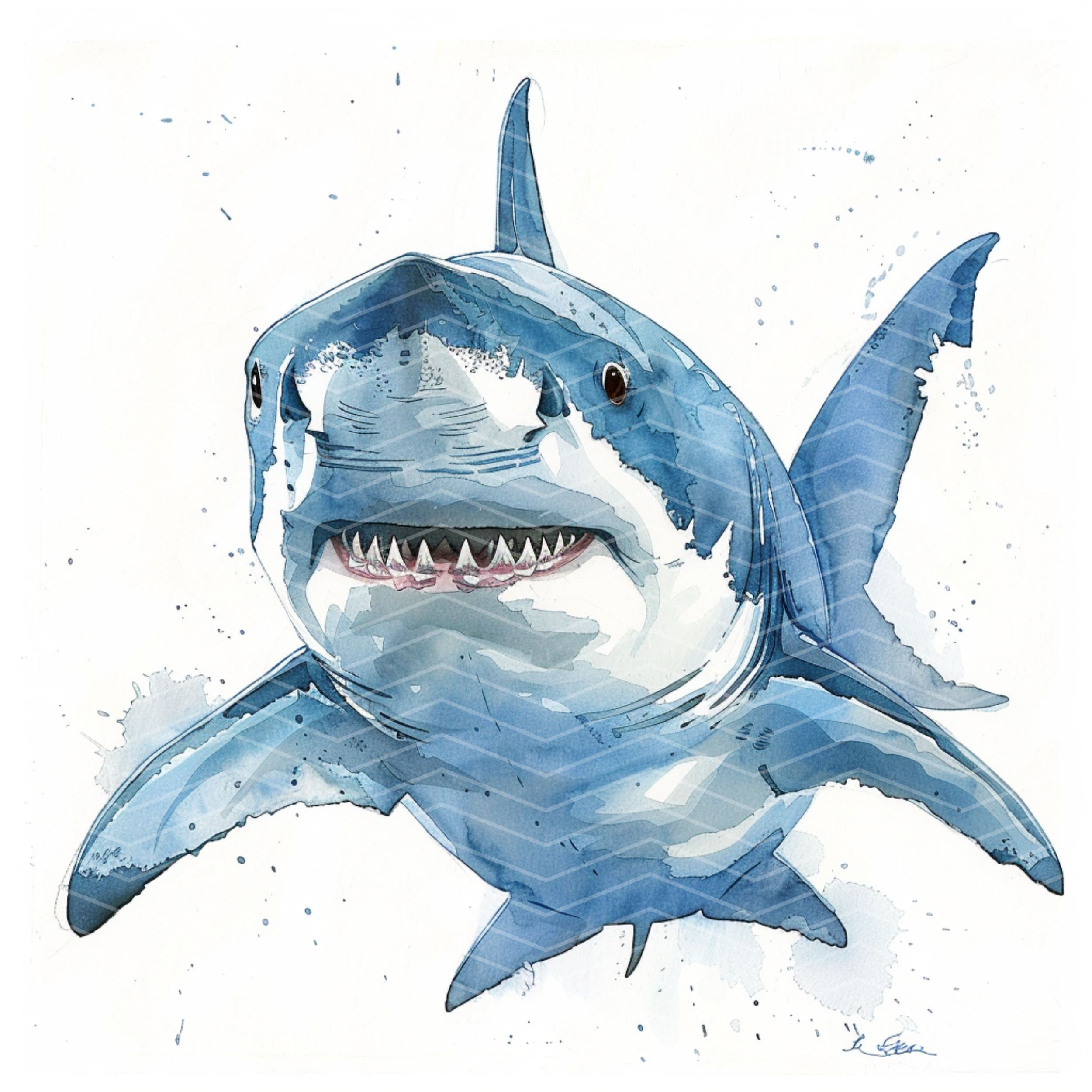 Watercolor Shark Clipart: Sea Fish Illustrations (JPG Digital Download ...