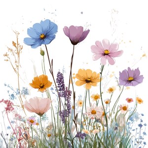 Watercolor Wildflowers Clipart: Floral PNG Set (digital Download ...