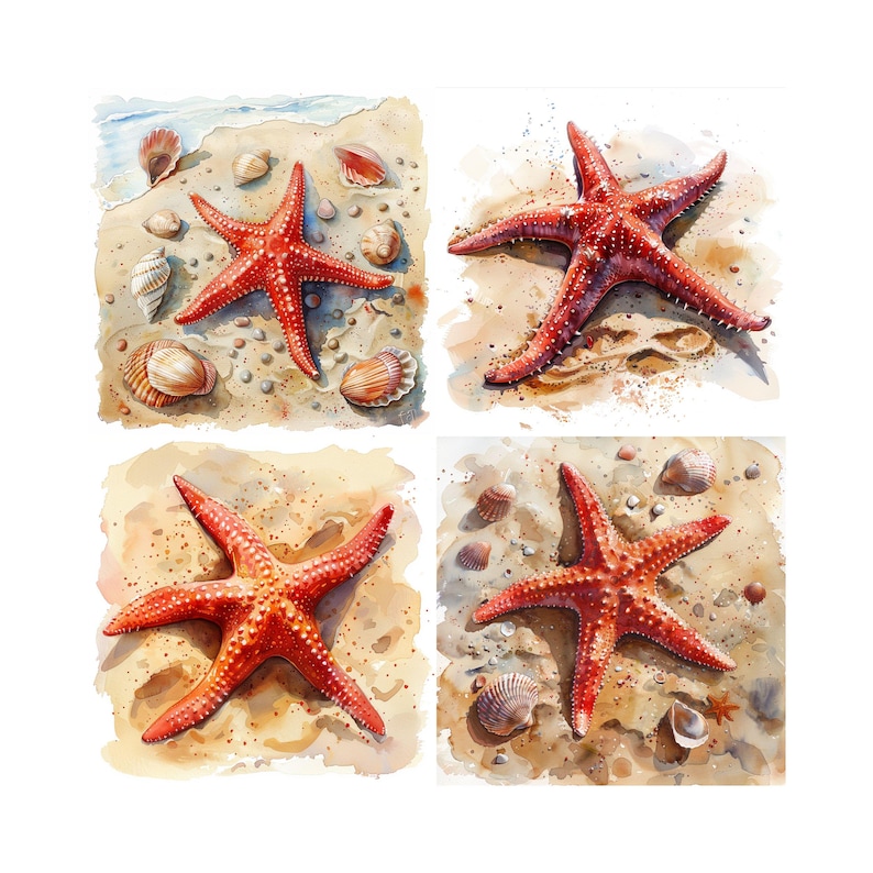 24 WATERCOLOR STARFISH CLIPARTS, Jpg Starfish Image, Starfish on Sand ...