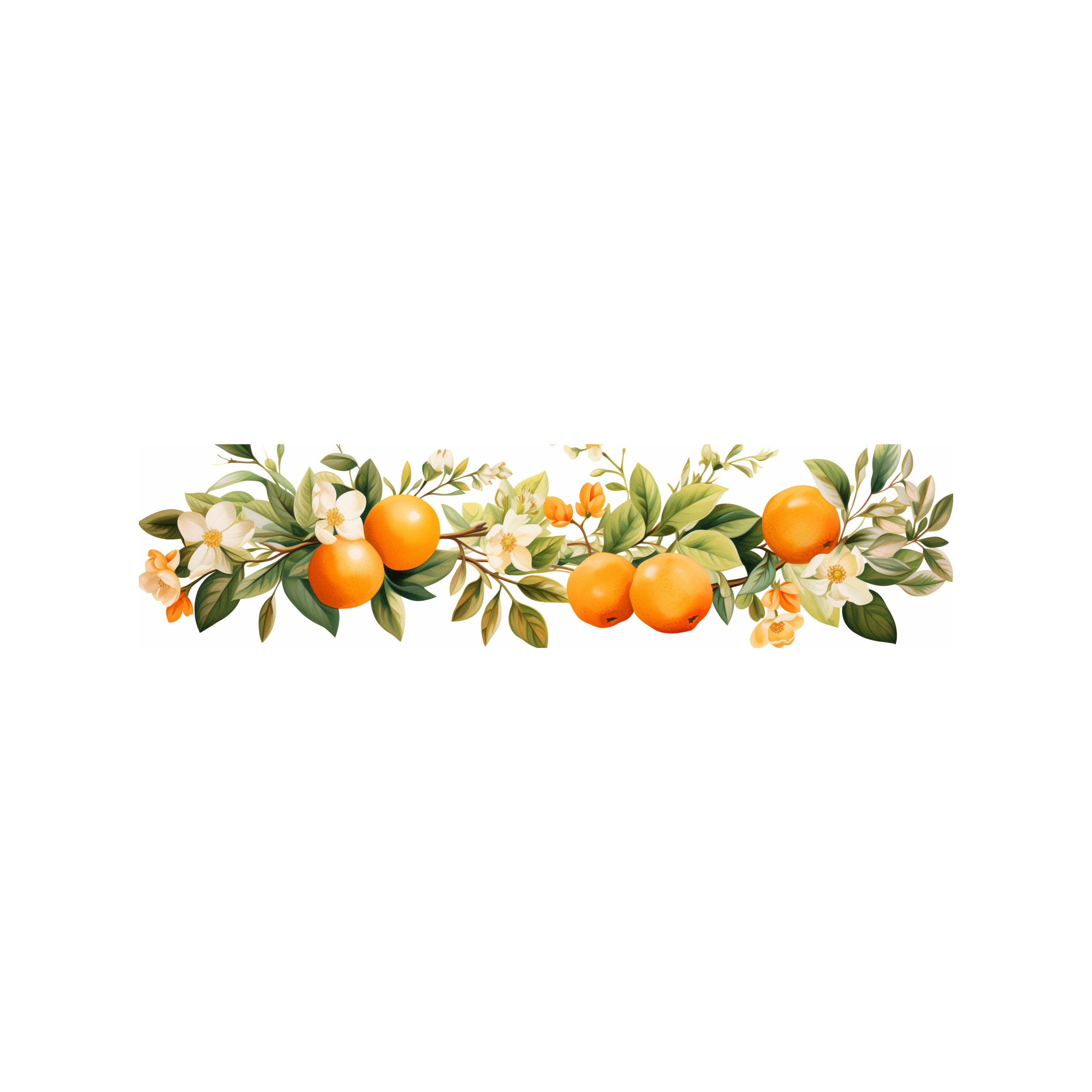 12 Orange Branch Border Clipart, Jpg, Orange Blanch Watercolor Clip Art ...