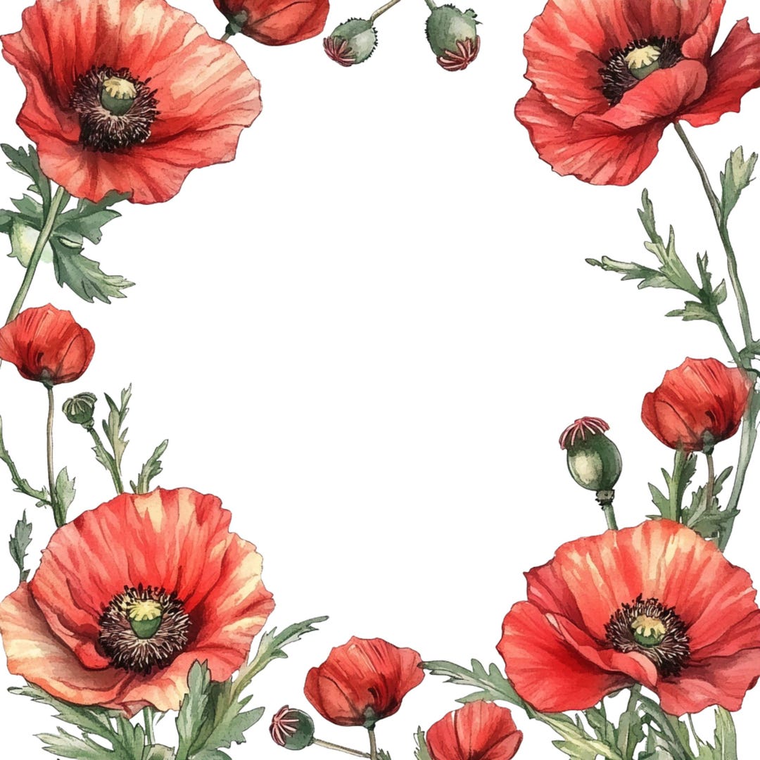 12 Poppy Watercolor Frames Clipart, High-quality PNG, Digital Download ...